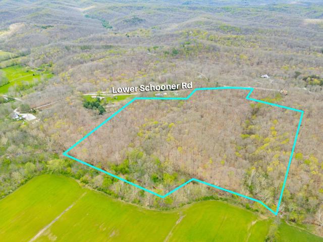 4100 Block of Lower Schooner Road