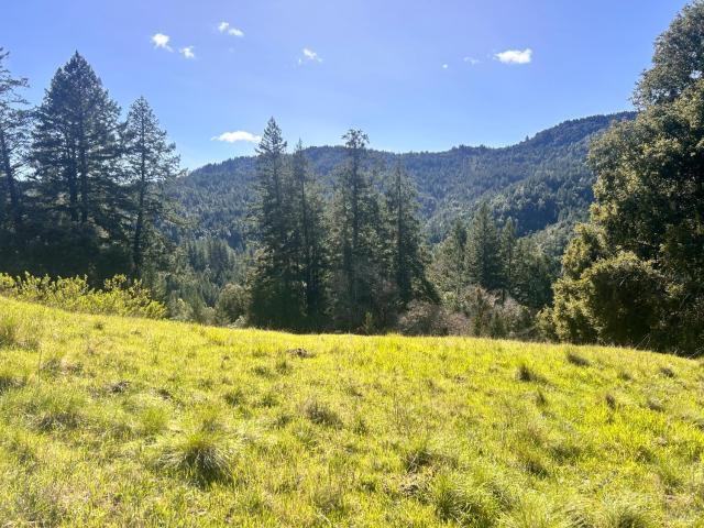 4100 Hansen Ranch Rd, Garberville, CA 95542 | MLS #326013 | Compass
