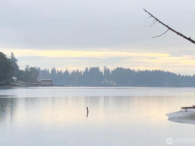 4101 st Ave SW, Longbranch, WA 98351 | MLS #2555