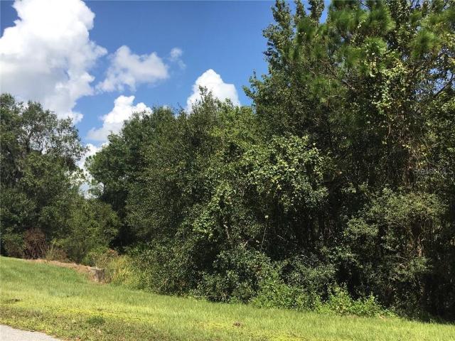 4102 th Pl E, Myakka City, FL 34251 | MLS #A4196