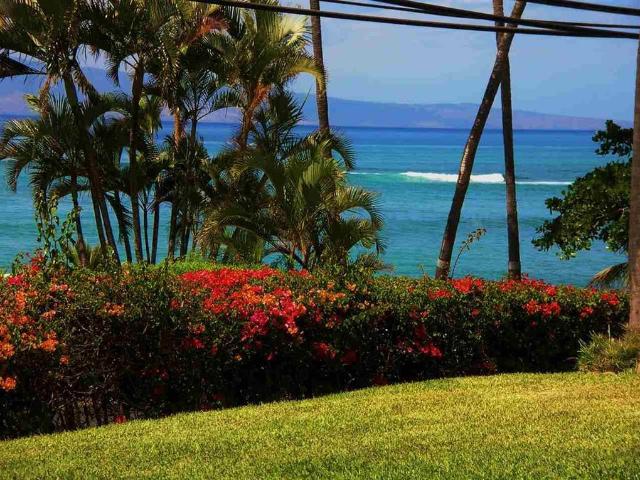 4103 N Paua Way, Lahaina, HI 96761 | MLS #409500 | Compass