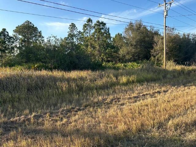 410 Columbus Blvd S, Lehigh Acres, FL 33974 | MLS #A11941