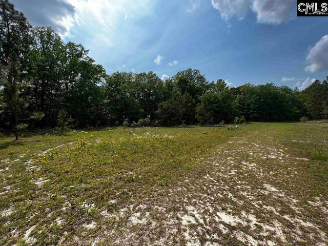 410 Boy Scout Road Lot Parcel B