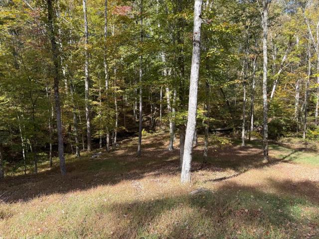 410 Falls Creek Way