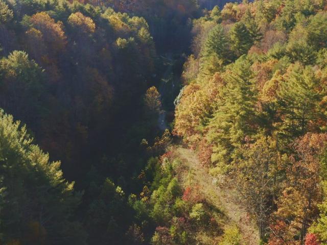 410 Seay Hollow Road