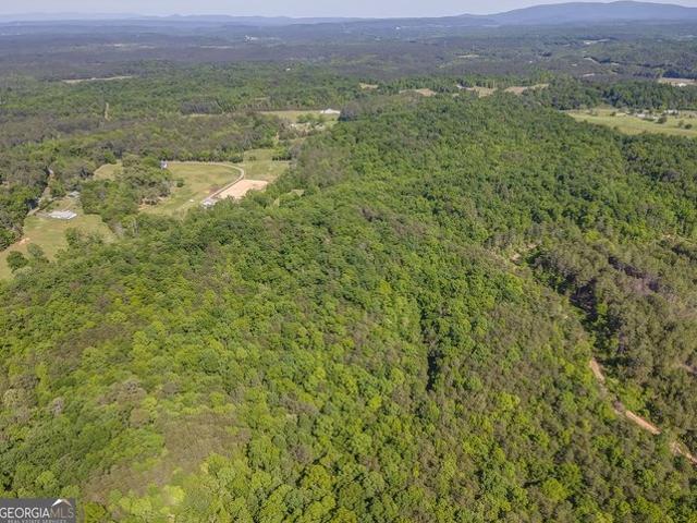 410 Pine Hill Rd SE, Rydal, GA 30171