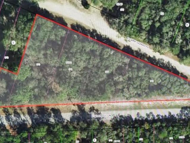 4114 E Camp Izzard Pl, Dunnellon, FL 34434