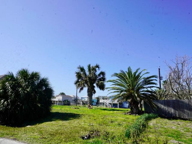 4114 Las Palmas Street