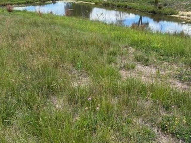 4110 Clinch Valley Rd, Thorn Hill, TN 37881