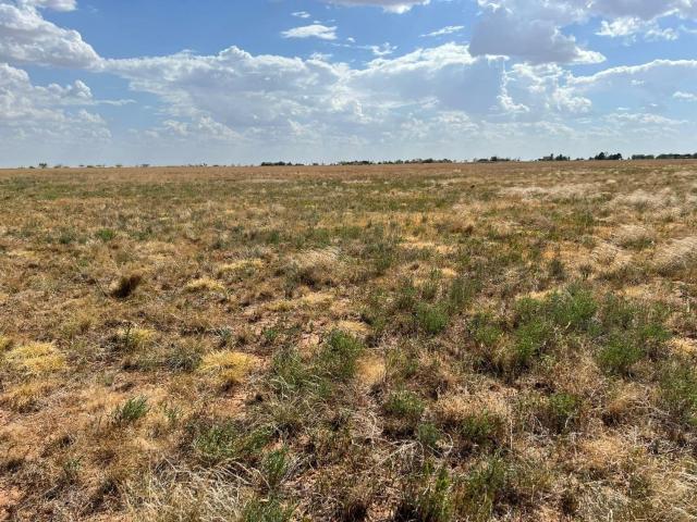 4111 County Road 5300, Lubbock, TX 79415 | MLS #202551