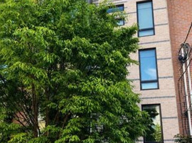 411 Monroe St Unit 1, Hoboken, NJ 07030