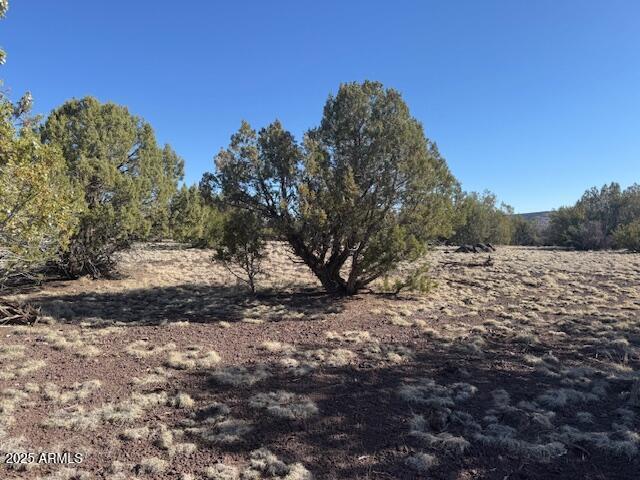 411 S Wedgewood Dr, Williams, AZ 86046 | MLS #6854