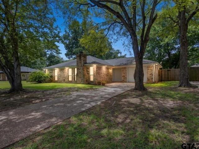 411 Shady Ln, Whitehouse, TX 75791