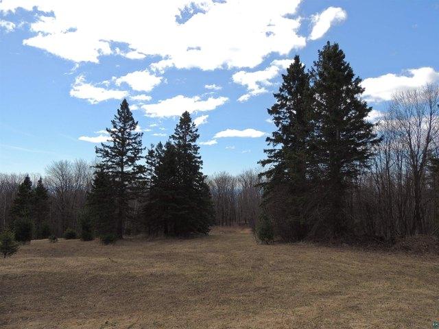 Springdale Rd, Tofte, MN 55615