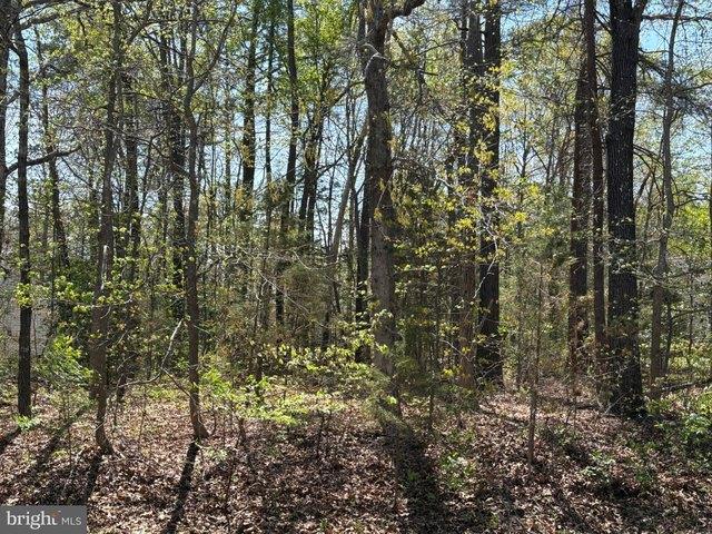 411 Pocahontas Dr, Ruther Glen, VA 22546