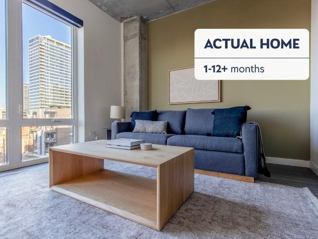 411 West Chicago Avenue 1 Bedroom Apartment for Rent at 411 W Chicago Ave #1036, Chicago, IL 60654 Near North Side