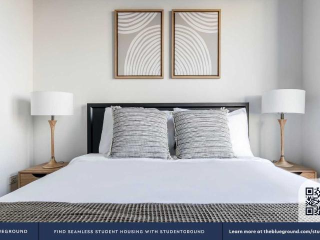 411 West Chicago Avenue 1 Bedroom Apartment for Rent at 411 W Chicago Ave #1036, Chicago, IL 60654 Near North Side