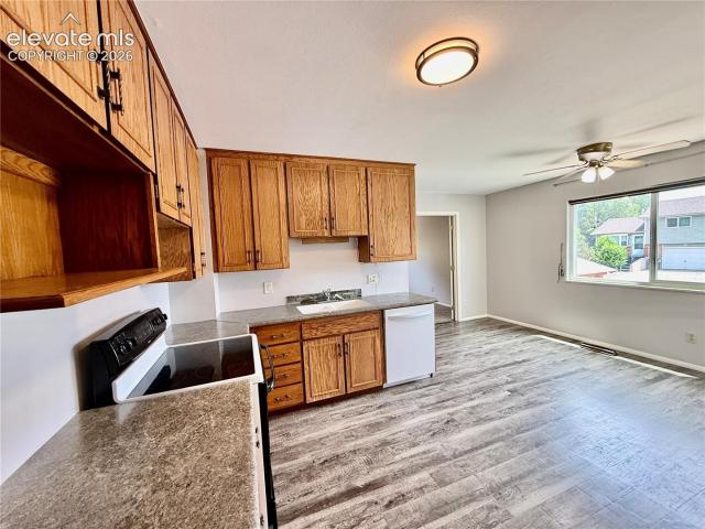 4125 Tulip Way