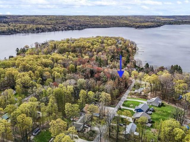 4125 White Birch Dr, Grawn, MI 49637