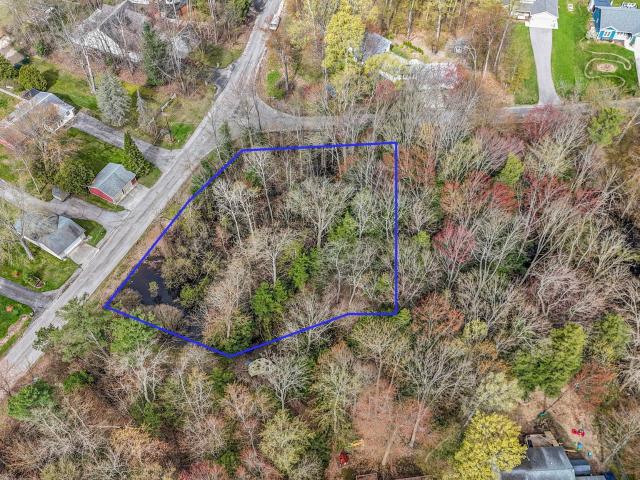 4125 White Birch Drive