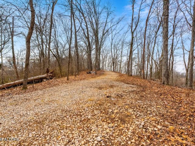 4129 Bear Hollow Loop