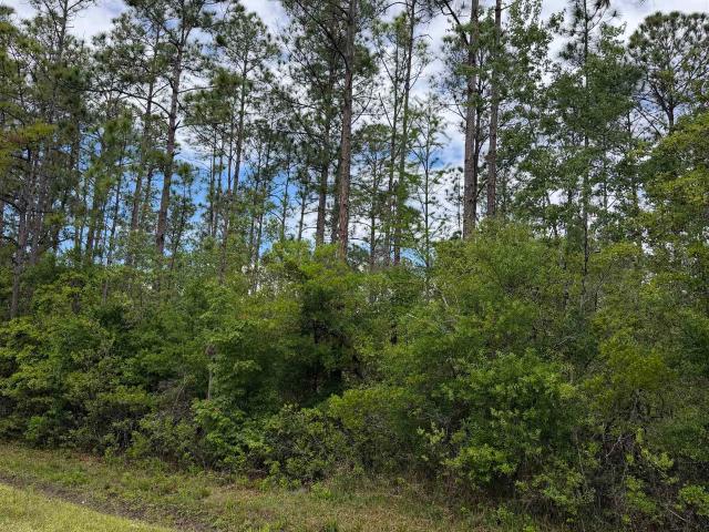 4120 1 Melanie St, Hastings, FL 32145 | MLS #262090 | Compass