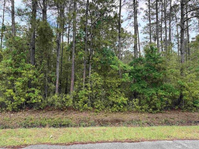 4120 2 Melanie St, Hastings, FL 32145
