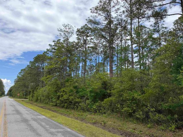 4120 2 Melanie St, Hastings, FL 32145 | MLS #262089