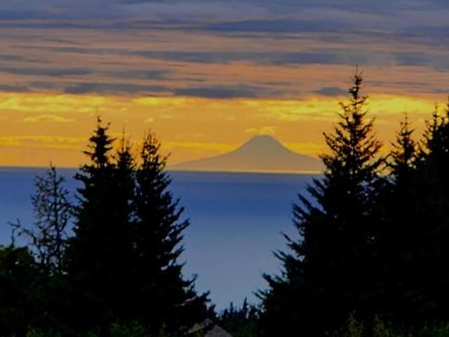 41236 Volcano View Ct, Homer, AK 99603