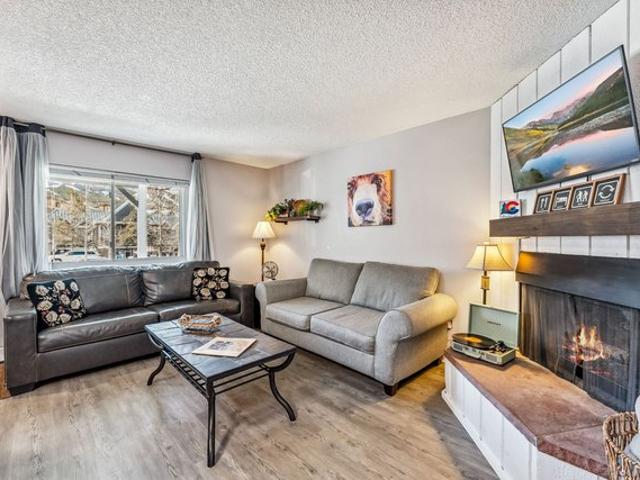 412 S Main St Unit 113, Breckenridge, CO 80424