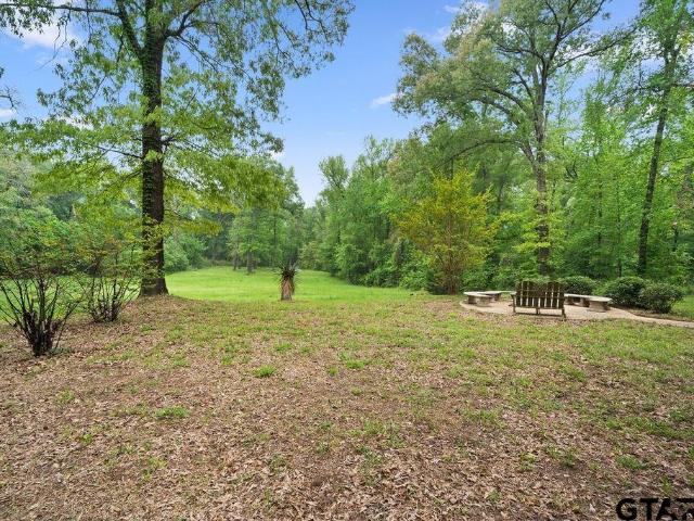 412 Vz County Road 4505, Ben Wheeler, TX 75754 | MLS #21257 | Compass