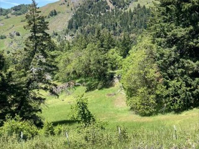 41345 State Highway 36, Bridgeville, CA 95526