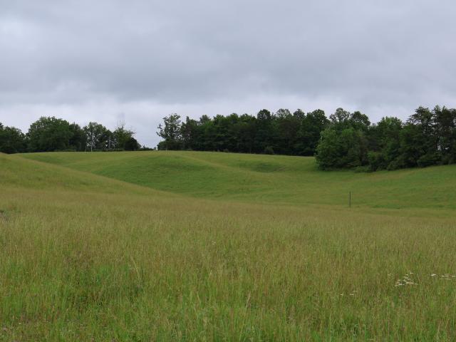4135 Big Andy Ridge Road # Tract 7
