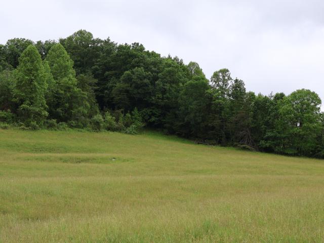 4135 Big Andy Ridge Road # Tract 4