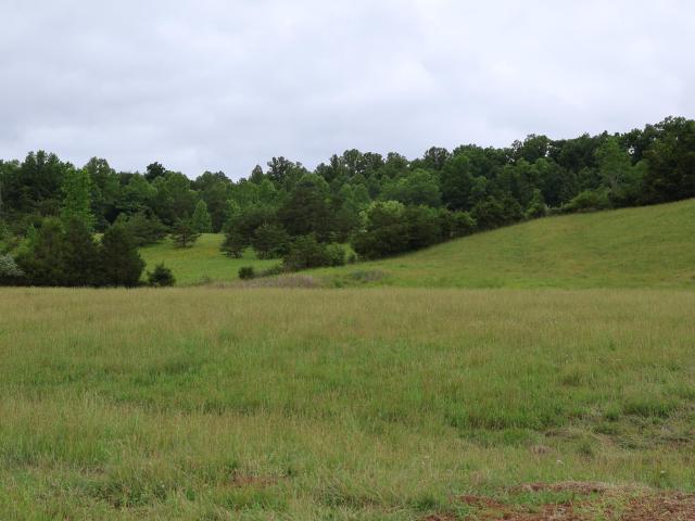 4135 Big Andy Ridge Road # Tract 5