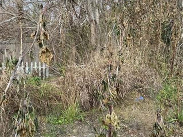 41375 Lawrence St, New Orleans, LA
