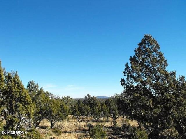 4131 Sunset Ridge Loop, Happy Jack, AZ 86024