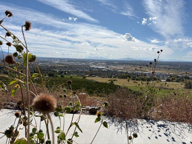 4133 N Moose Ln Unit 125, Pleasant View, UT 84414