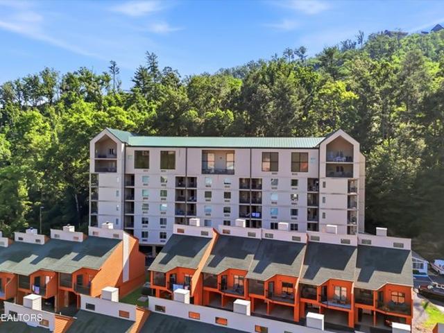 413 Baskins Creek Rd Apt 303, Gatlinburg, TN 37738