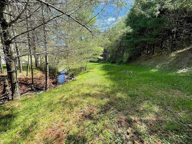 413 Low Gap Rd