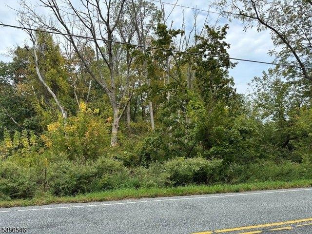 413 Mountain Lake Rd, Liberty Township, NJ 07838