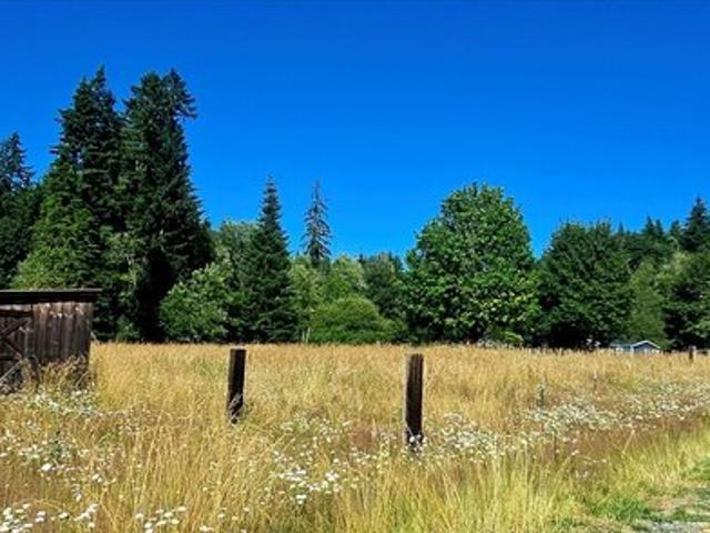 413 Manners Rd, Rochester, WA 98579