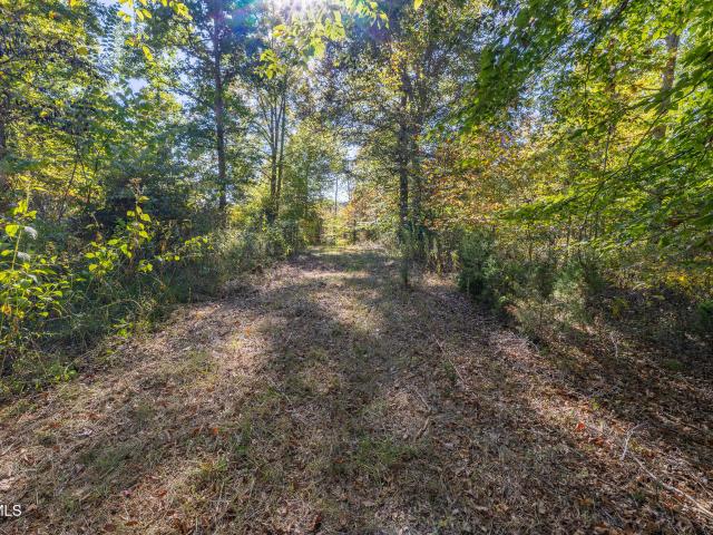413 Paddle Creek Road