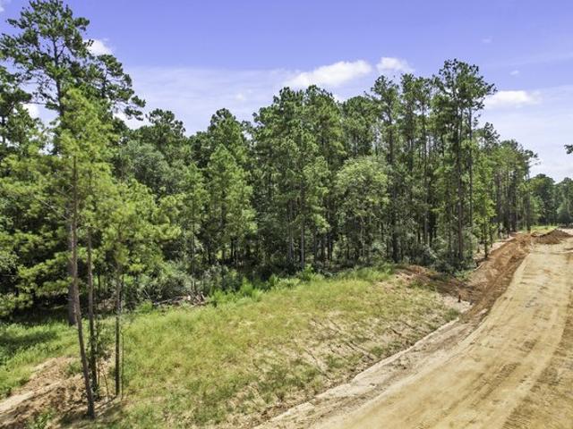 4147 Augusta Dr, Montgomery, TX 77316