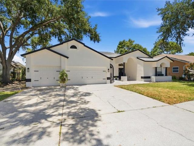 4149 Ridgemoor Dr N, Palm Harbor, FL 34685