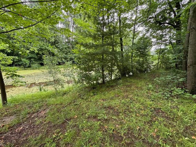 4141 Wieman Road