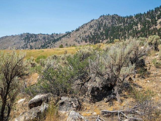 414 000 Scott Rd, Doyle, CA 96109 | MLS #20241