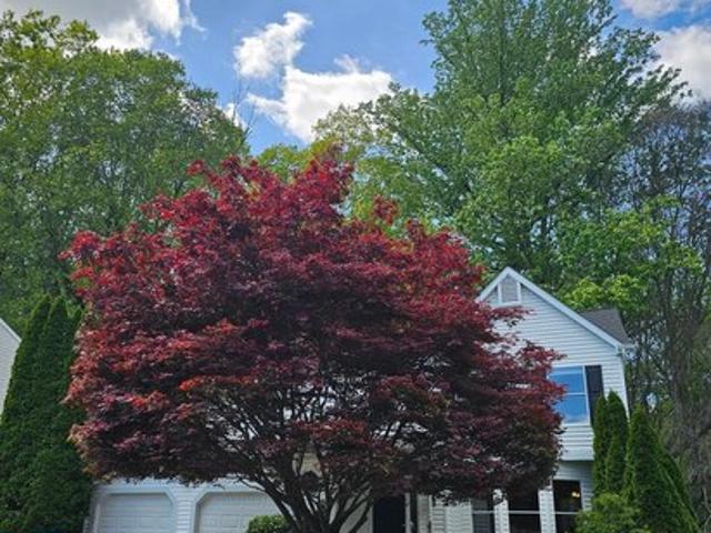 414 Abbey Cir, Abingdon, MD 21009