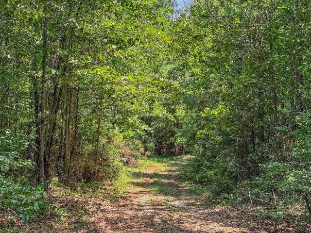4154 Hwy 131