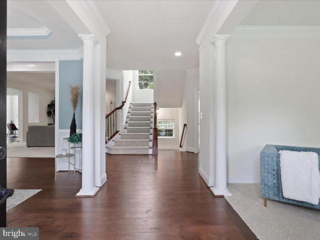 41595 Revival Drive